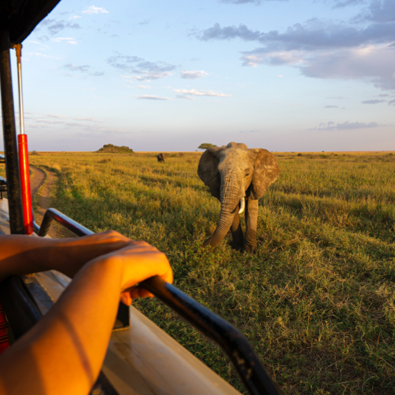 Accommodation | Africa Safari Karatu